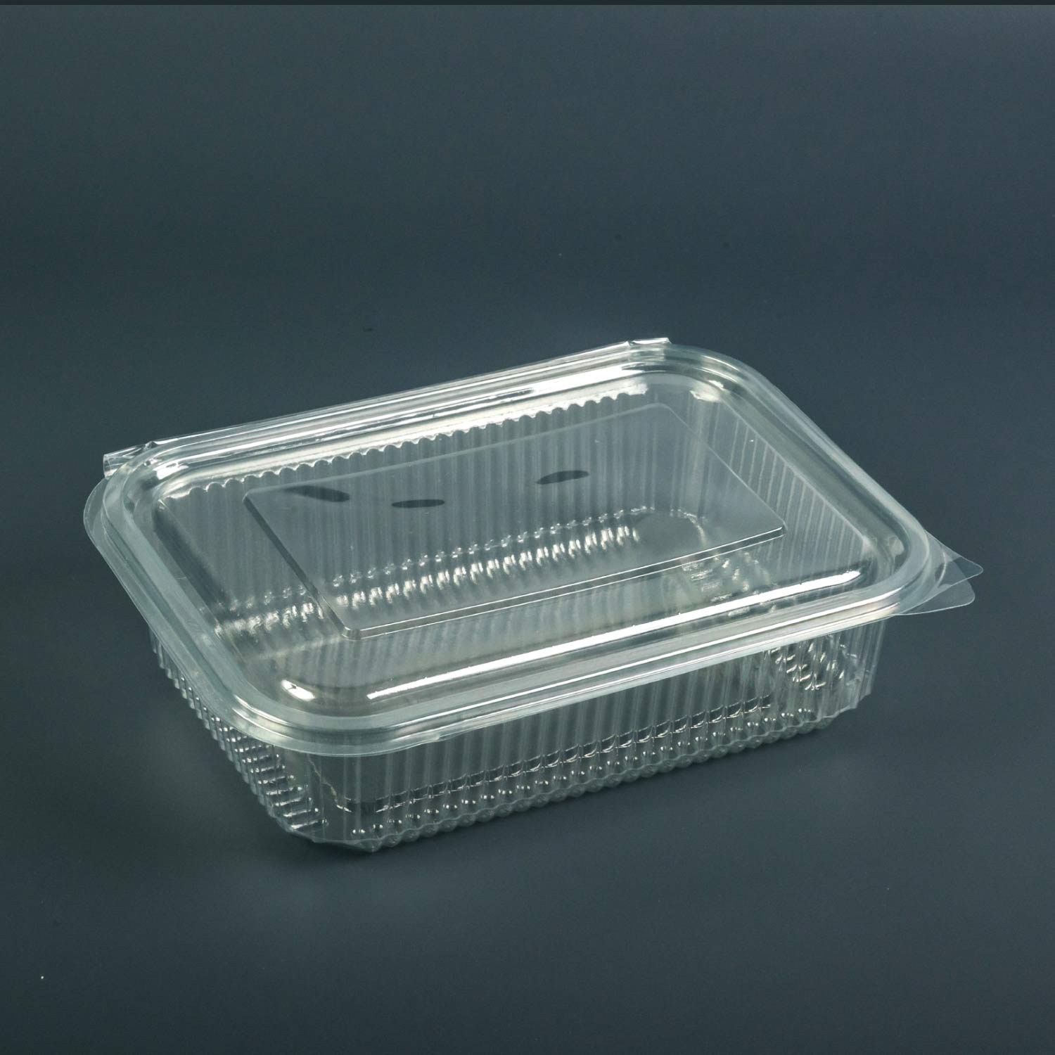 PET tray with lid - Sam Plast